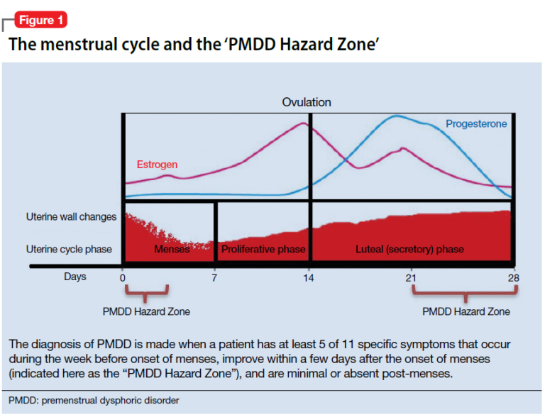 The Etiology of Premenstral Dysphoric Disorder: 5 interwoven pieces ...